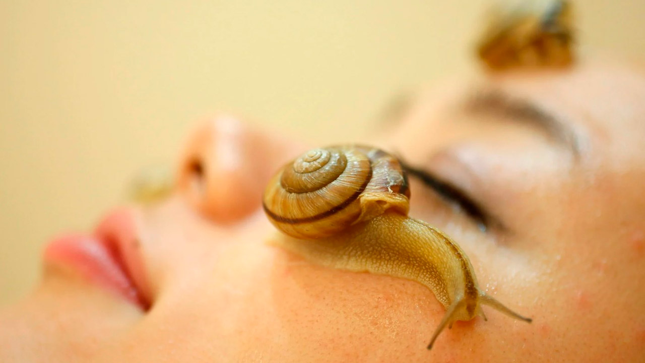 ¿Para qué sirve la baba de caracol? Todo lo que debes saber